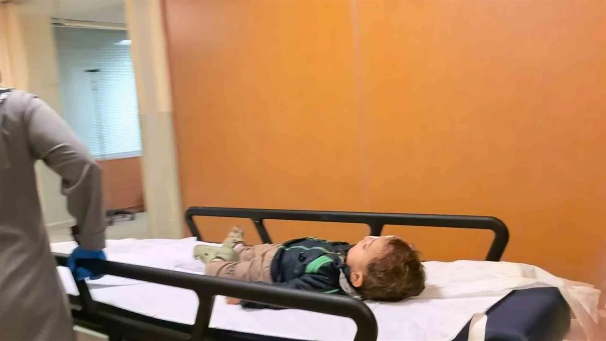 Bursa İnegöl'de Patlayan Torpil 2 Yaşındaki Çocuğu Ağır Yaraladı ...