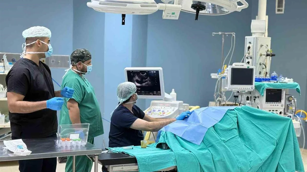 Kahta'da Prostat Kanseri Tanısı İçin Transrektal Biyopsi Uygulaması ...