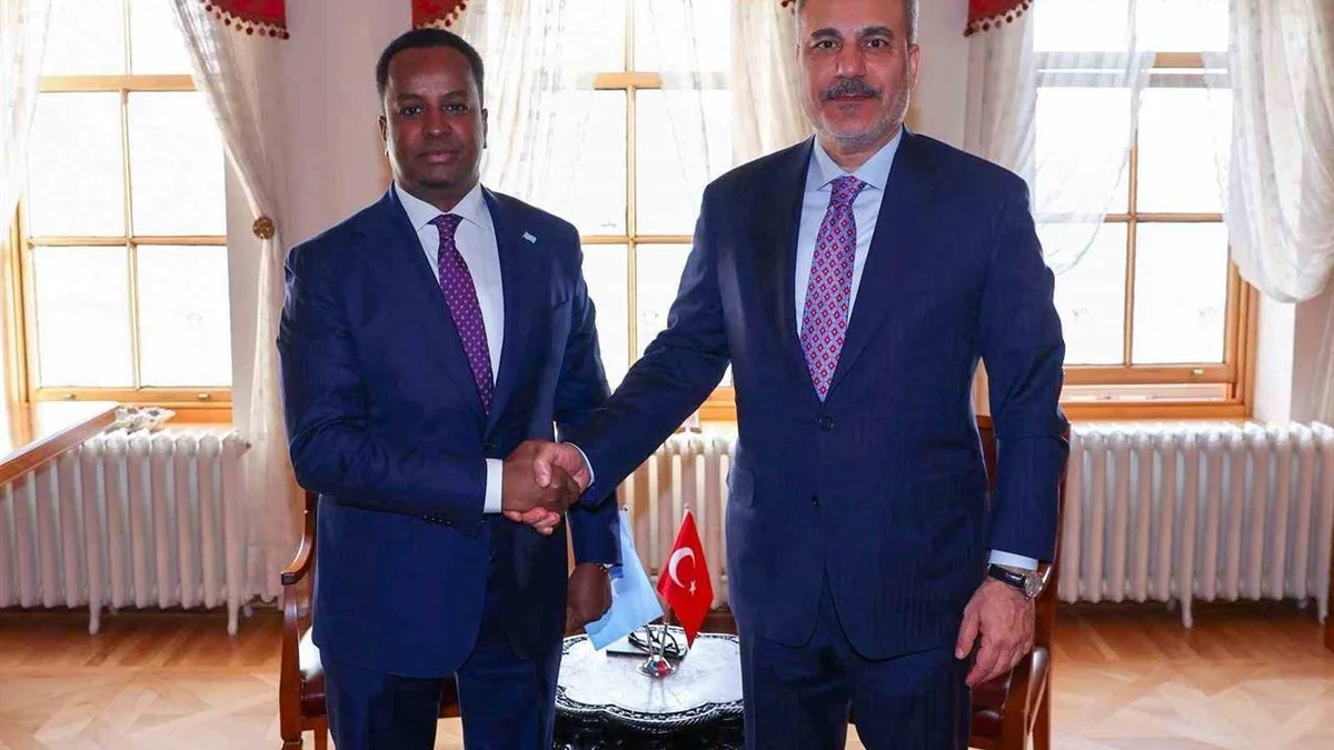 Ankara'da Dışişleri Bakanı Hakan Fidan, Somali Dışişleri Bakanı ...