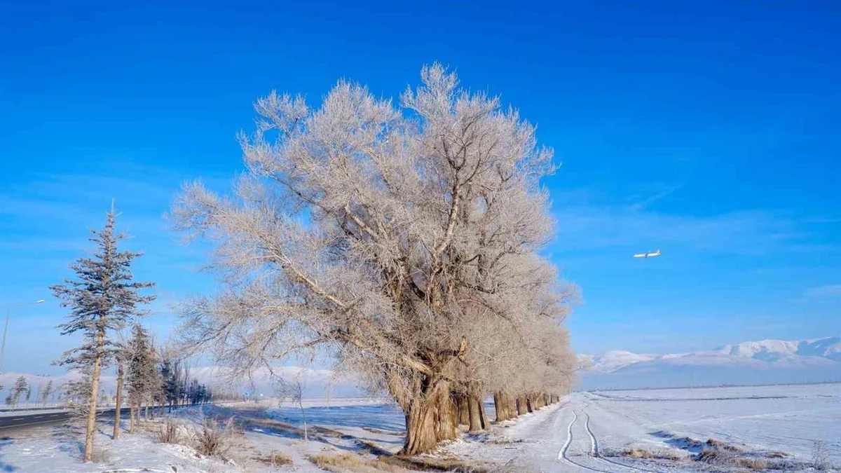 Doğu yine buz kesti - ERZURUM | Mersin Haber - Mersin'den Haberiniz Olsun!