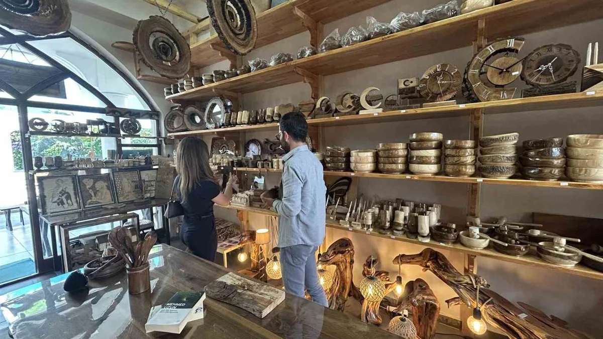 Van'da Atıl Ceviz Ağaçları, Sanat Eserlerine Dönüştürülüyor | Mersin ...