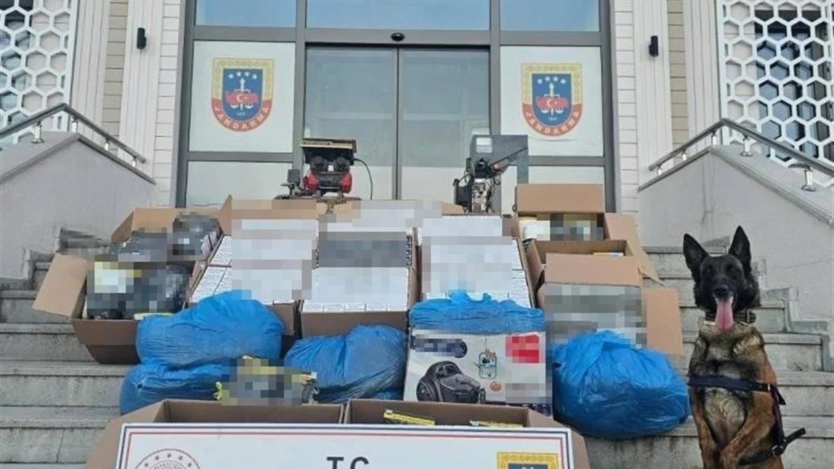 Düzce Merkez İlçe'de Jandarma Ekipleri 130 Bin Makaron Ele Geçirdi ...