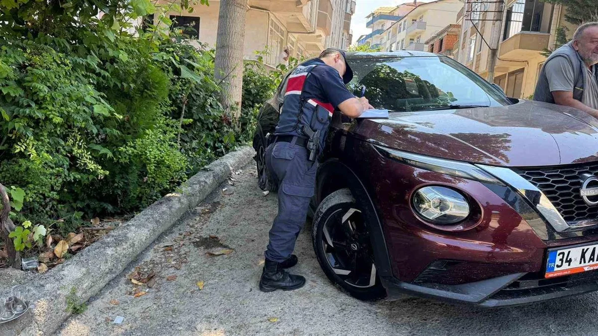 Zonguldak Alaplı'da Geri Kayarak Ağaca Çarpan Otomobilde 3 Yaralı ...