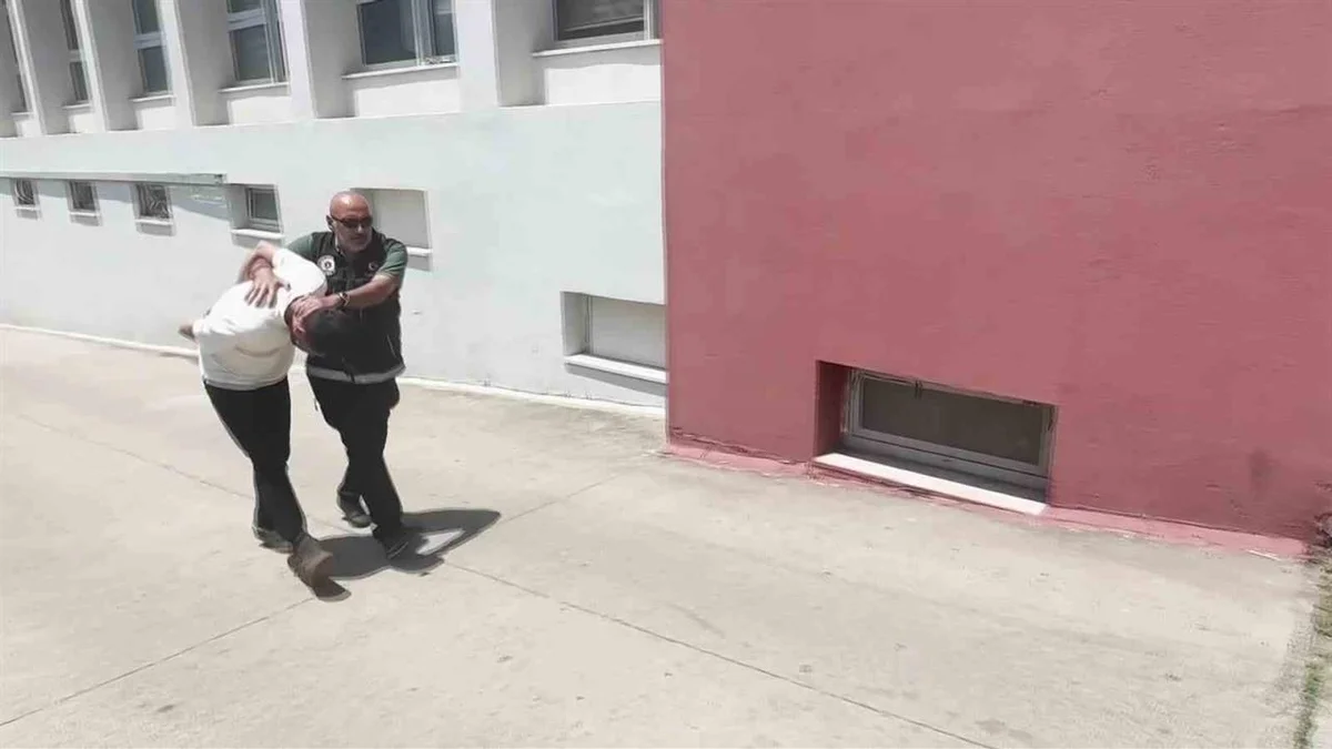 Adana'da Narkotik Ekiplerinin Operasyonunda 6 Kilo Bonzai Ele Geçirildi ...