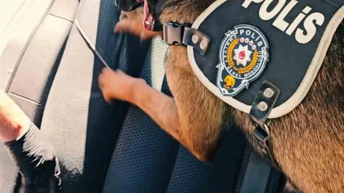 Muş'ta Yapılan Operasyonda 60 Kilogram Uyuşturucu Madde Bulundu ...