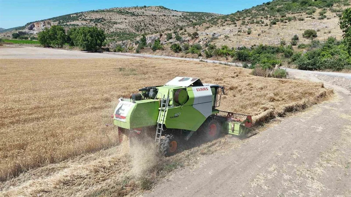 Altıeylül’ün bereketli topraklarında hasat başladı - BALIKESİR | Mersin ...